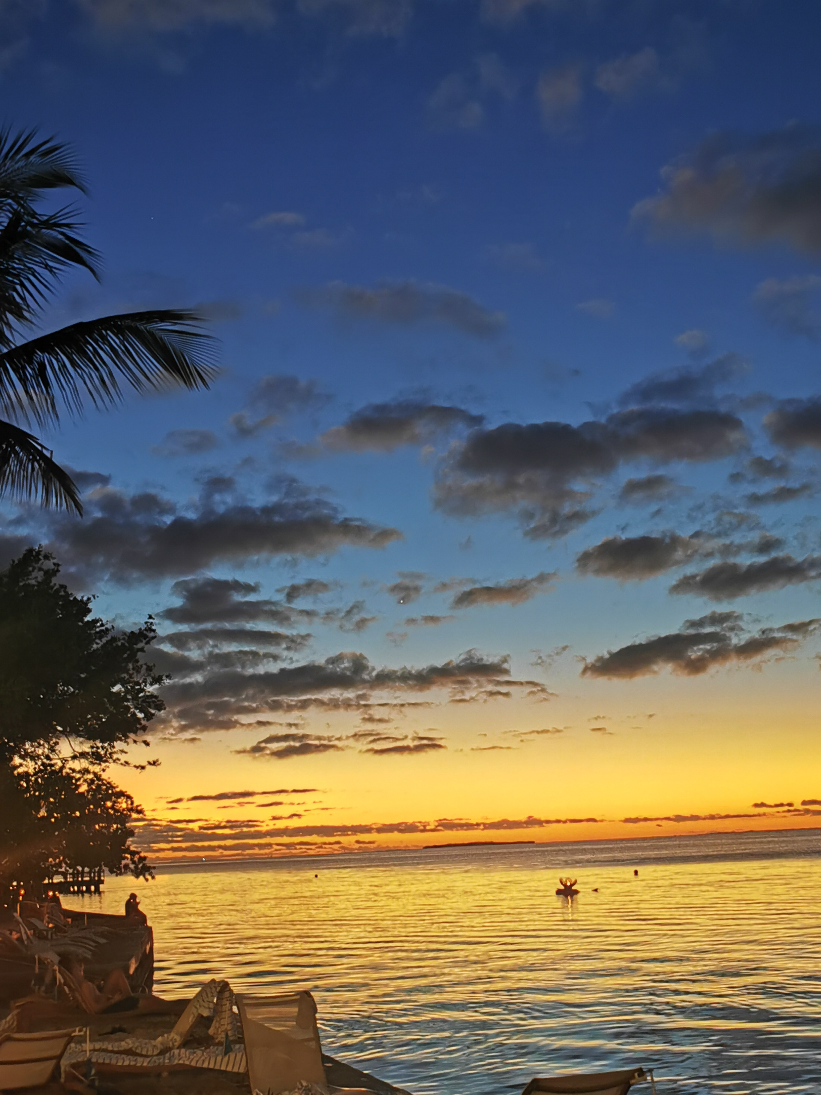 Fab day trip Key Largo: manatees, SUP, sunset fire party - Zenbabytravel